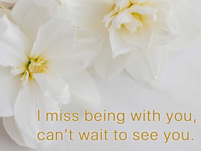 75 Can’t Wait to See You Quotes